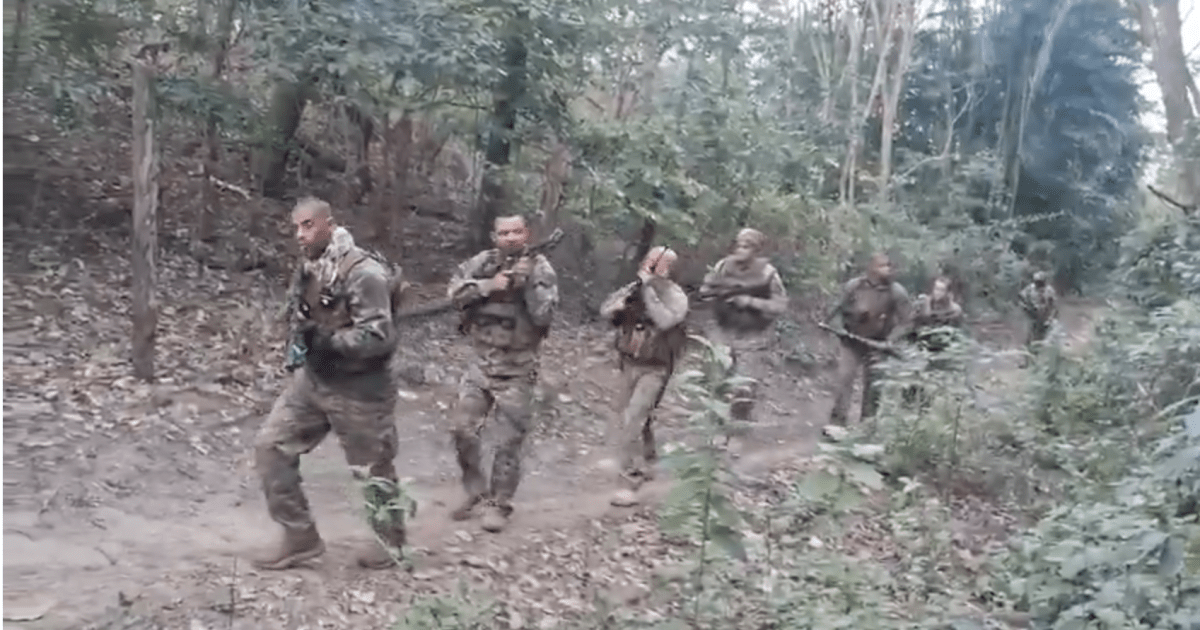 Bope faz novas buscas por traficante Sardinha, do CV, no Rio | TV DF ...